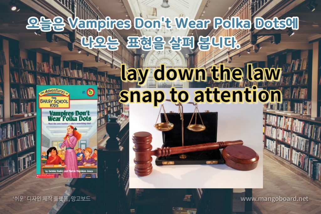 Vampires Don’t Wear Polka Dots [Delightful, not too Easy Reading] G3