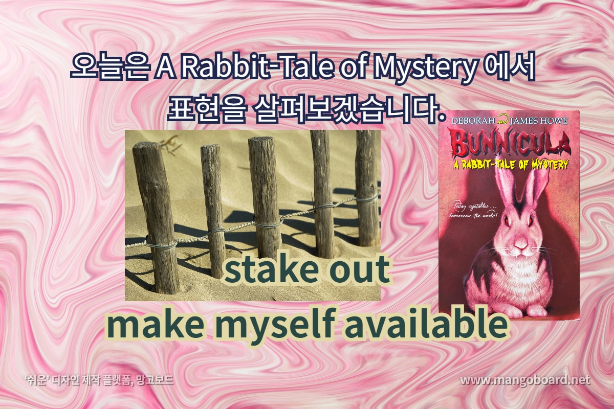A Rabbit-Tale of Mystery [Delightful, not too Easy Reading] 챕터북 G4