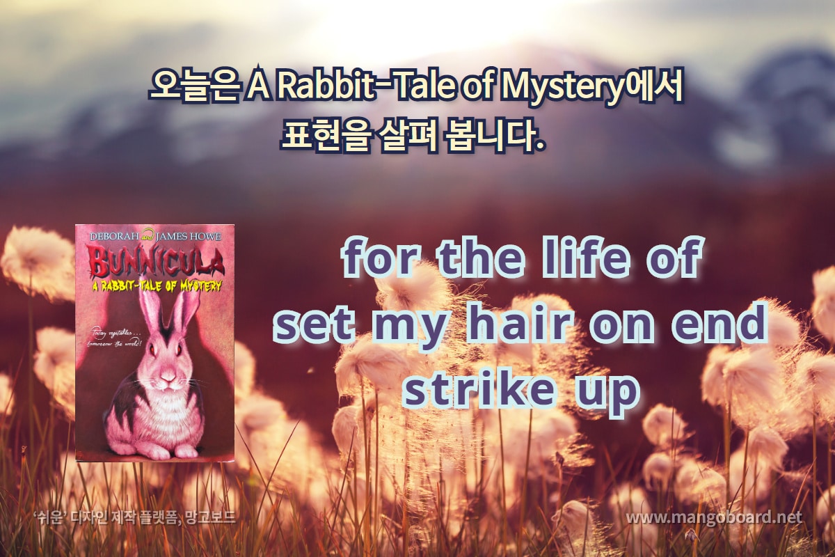 A Rabbit-Tale of Mystery [Delightful, not too Easy Reading] 챕터북 G4