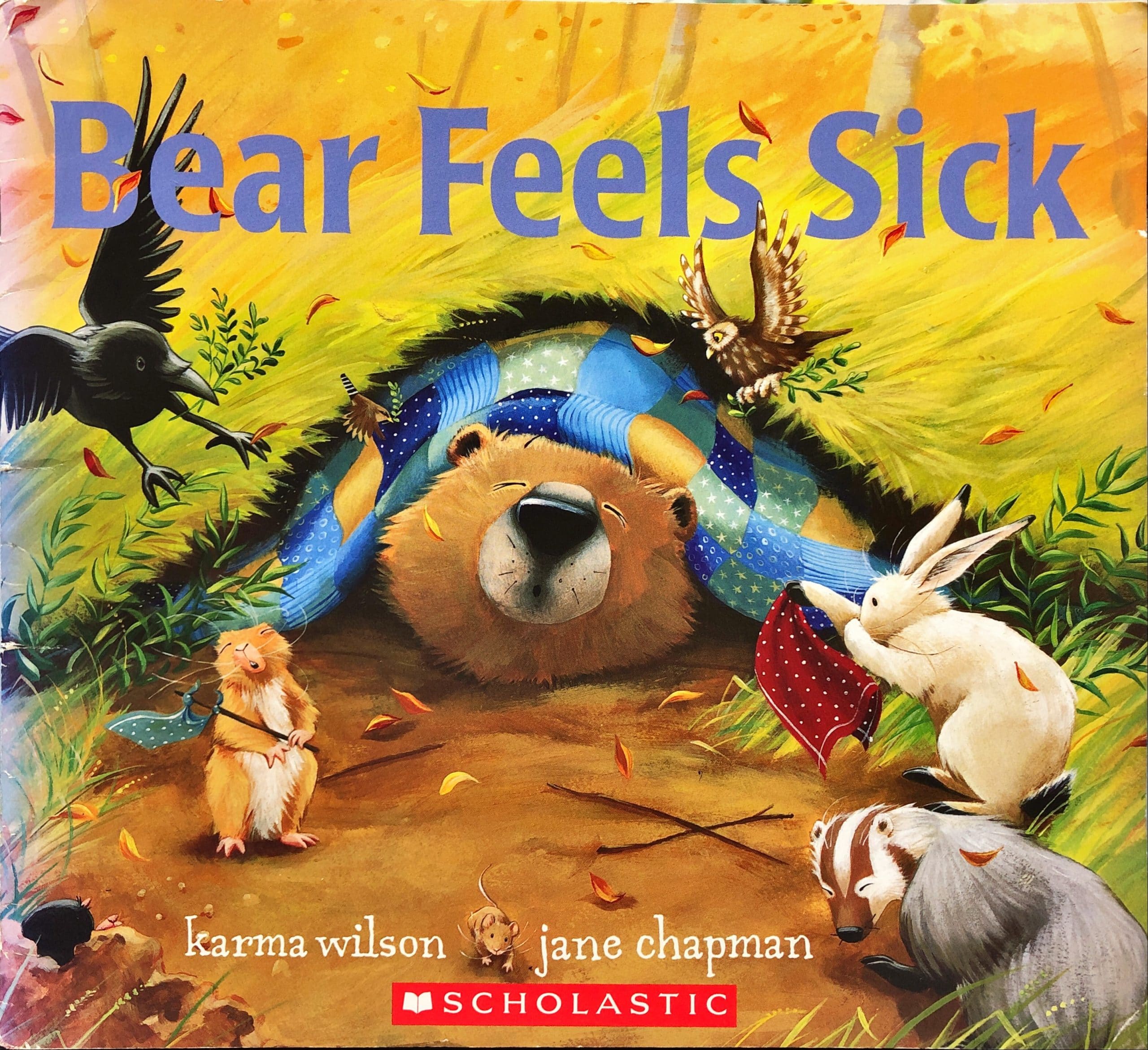 Bear Feels Sick [그림책] 감기 환자 돌보기